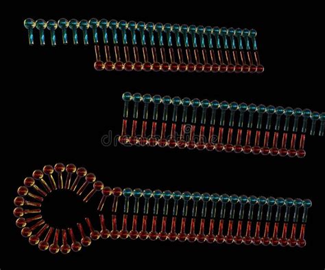 antisense stock illustrations 15 antisense stock illustrations