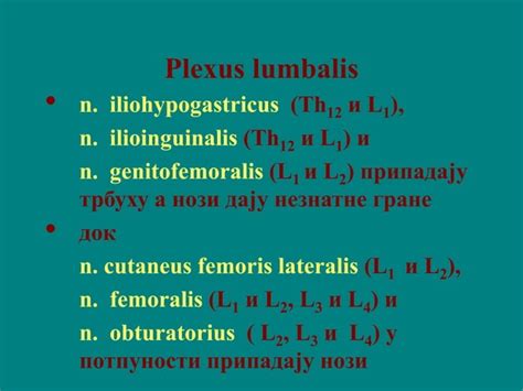 Dokumentipsnervi Donjeg Ekstremitetappt