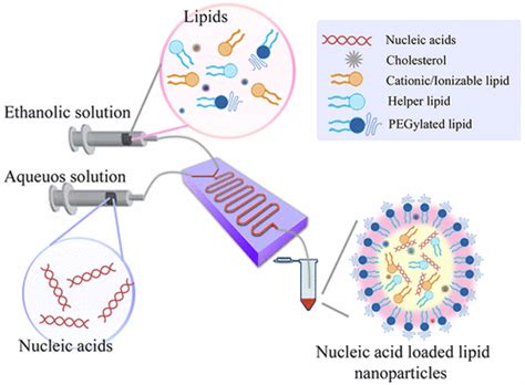 Microfluidics For Development Of Lipid Nanoparticles Paving The Way For Nucleic Acids To The Microfluidics For Development Of Lipid Nanoparticles Paving The Way For Nucleic Acids To The