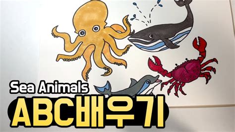 Abc 배우기 고래그리기 Whale Dolphin Sea Creatures Sea Animals