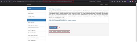 Testing Methodology For Insecure Deserialization Vulnerability