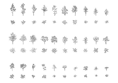 Cadnature Trees And Saplings Dwg Cad Blocks In Plan And Elevation 30 Pieces Shop