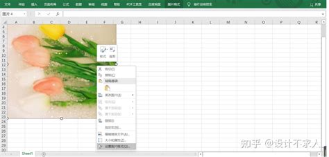 如何在excel表格中插入图片使其刚好填满整个单元格 知乎