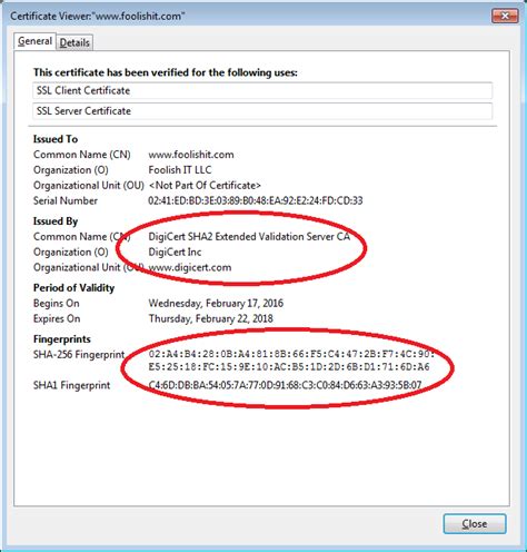 Extended Validation Certificate And Noscript Formerly Foolish It