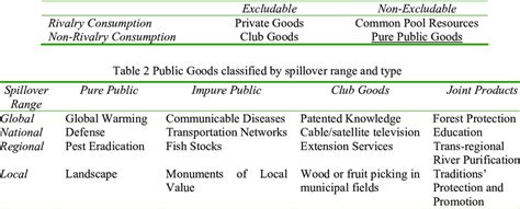Conceptual Framework For Public Goods Download Table