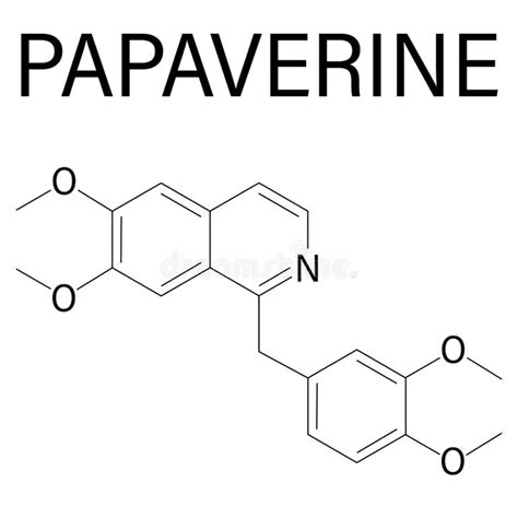 Antispasmodic Icon Stock Illustrations 39 Antispasmodic Icon Stock