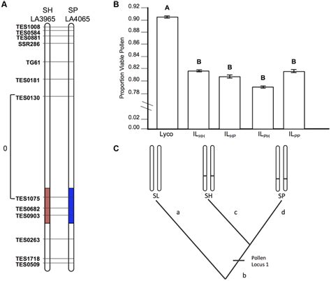 Test Of Allelism At Pollen Sterility Locus Pf72 A Chromosomal