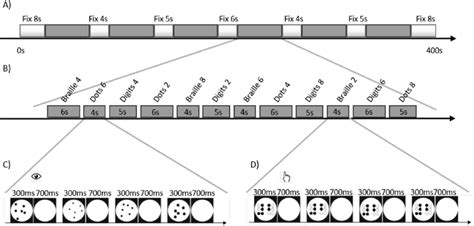 E Overview Of The Experimental Design The Numerosities 246 And 8