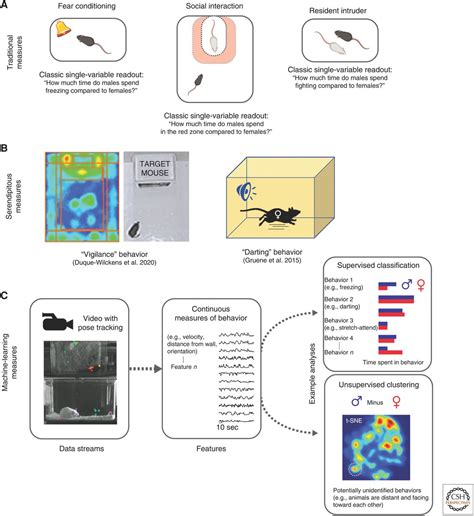 quantifying sex differences in behavior in the era of “big” data