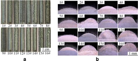 Morphology Of Single Track Experiment A Morphology Of Cladding Layer