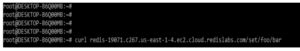 Redis API Examples On How To Create Redis API To Access Database