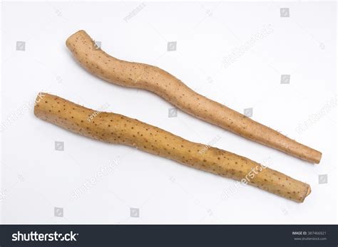 Wild Yam Stock Photo 387466921 : Shutterstock