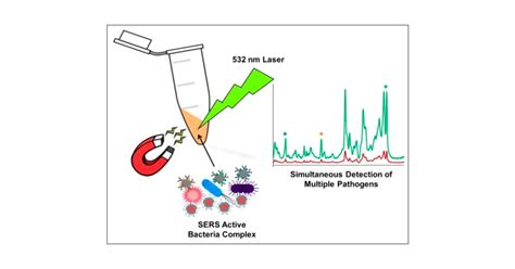 Sers Detection Of Multiple Antimicrobial Resistant Pathogens Using Nanosensors Analytical