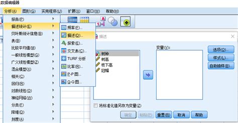 基本统计分析的报表制作 興華 博客园