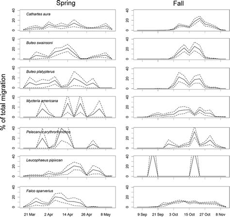 Migration Phenology Of The Most Abundant Raptors And Other Large Download Scientific Diagram