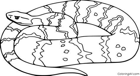 Boa Constrictor Coloring Pages 7 Free Printables Coloringall