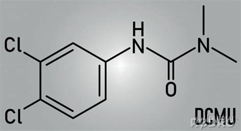 Diuron Dcmu Herbicide Molecule Skeletal Chemical Formula Posters For The Wall • Posters