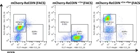 Figure Supplement 5 Flow Cytometry Analysis Of The Sorted Download Scientific Diagram