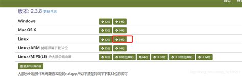 实现外网远程连接服务器：natapp使用教程 natapp 阿里云服务器 csdn博客