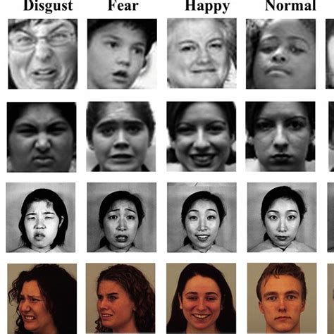 Visual Example Of The Dataset Used In This Work That Is Fer2013 Download Scientific Diagram