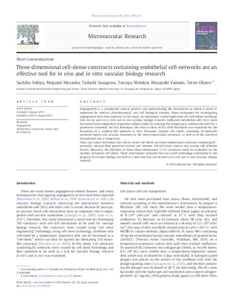 Pdf Three Dimensional Cell Dense Constructs Containing Endothelial