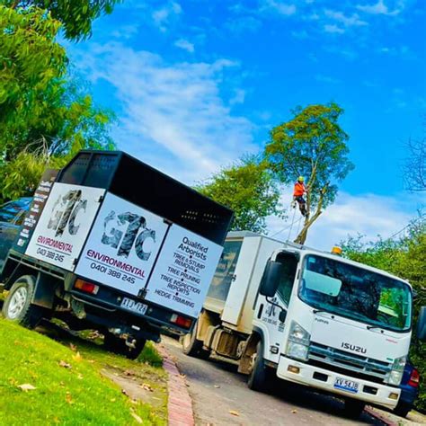 Arborists Melbourne Tree Stump Removal GTC Environmental