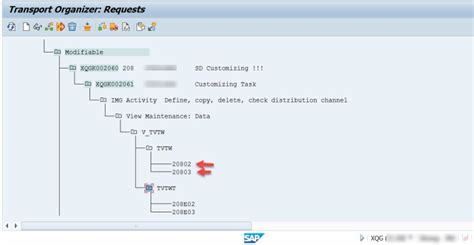 Business Configuration Set Bc Set Sapcodes