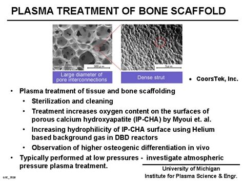 Plasma Propagation Through Porous Bone Scaffolding Runchu Ma