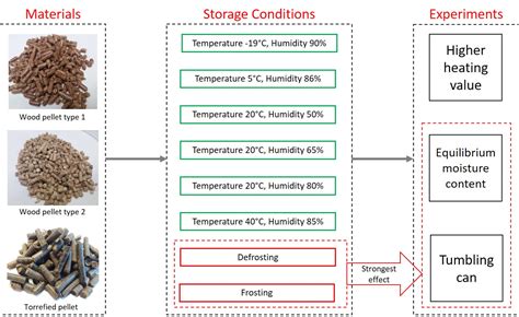 Torrefaction Luis Cutz