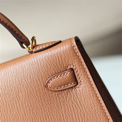 Hermes Maison 2j Quebracho Chevre Leather Mini Kelly19cm Gold Hardware Hermes Lover