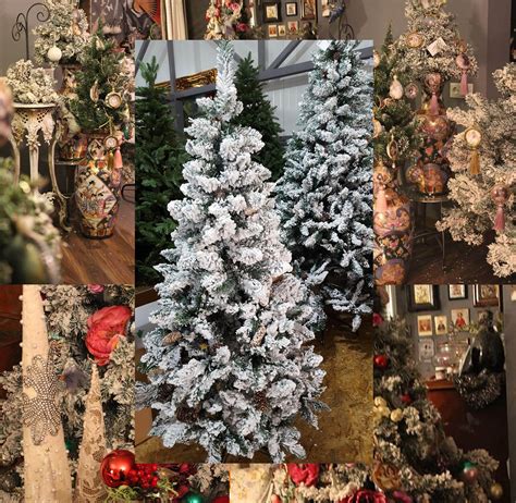 ჩვენი ნაძვის ხე თქვენი ნაძვის ხე ბედნიერებისთვის