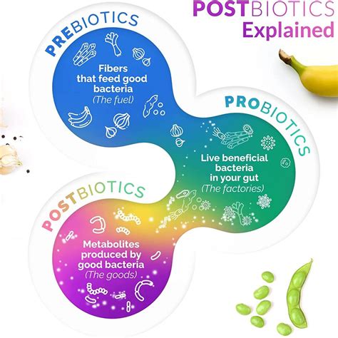 Postbiotics Proven You Cant Believe The Amazing Benefits