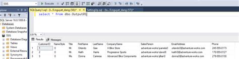 GitHub Britneydang HandsonProject SSIS