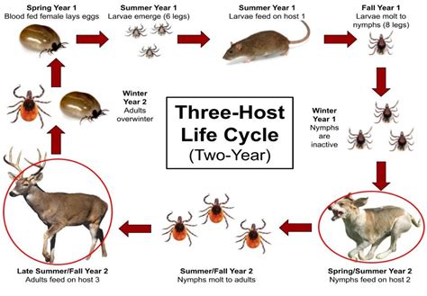 Eaton Rapids Joe Open Loop Vs Closed Loop As It Applies To Tick Borne Diseases