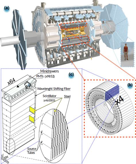 A The Atlas Detector B A Tilecal Barrel C Depiction Of A Download Scientific Diagram