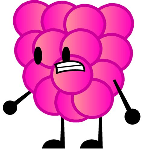 Red Raspberry Object Shows Community Fandom