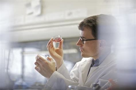 A Qa With Ubcs New Dean Of Science Chemist Mark Maclachlan Ubc Science