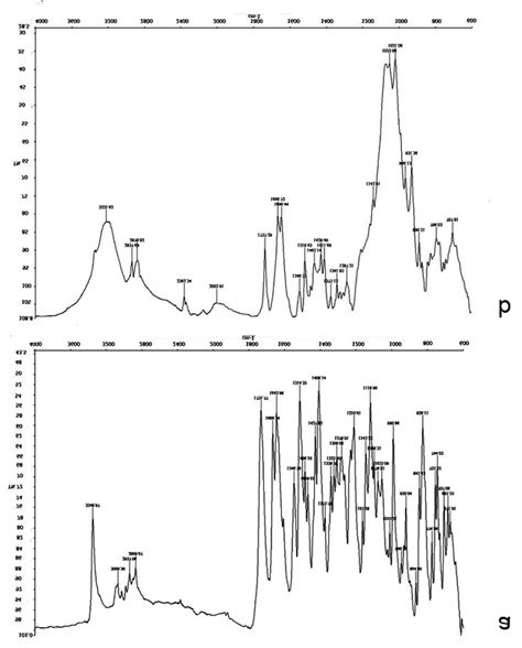 In Vitro Dissolution Profiles Of Rxb Bulk Powder And Rxb Nanocrystals