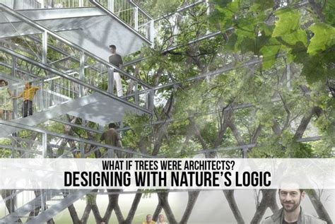 10 Examples Of Low Cost Housing Rtf Rethinking The Future