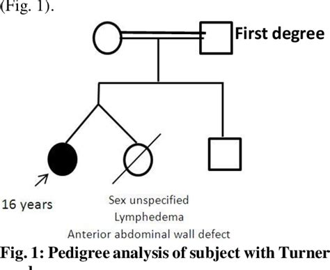 Turner Syndrome Pedigree Chart