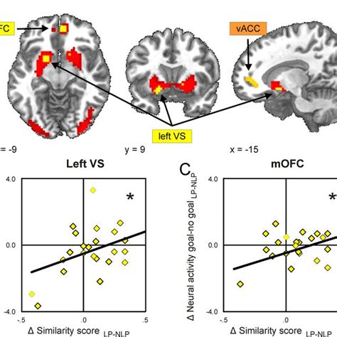 Neural Activity Associated With Own Reward And Empathic Reward A Download Scientific Diagram