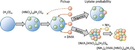 Schematic Illustration Of The Increasing Complexity Of Clusters