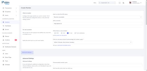Api Monitor Palzin Monitor
