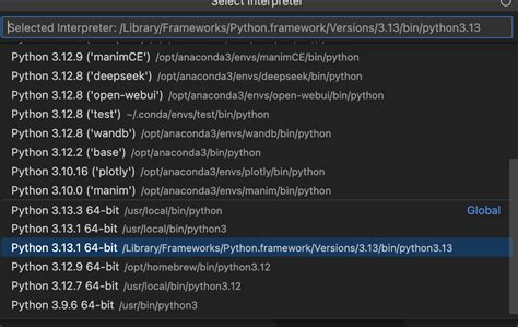 Multiple Python Paths Stack Overflow