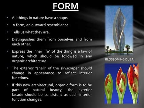 Form Follows Function Pptx
