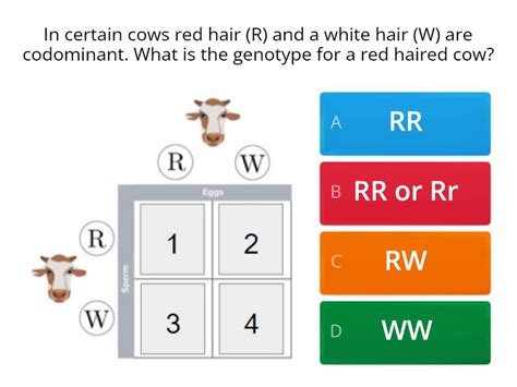 Complete Dominant Codominant Incomplete Dominant Inheritence Quiz