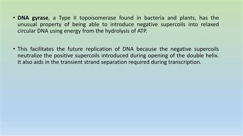Replication Fork In Prokaryotic Replication Pptx Chemistry Science