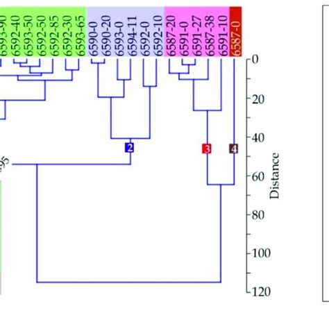 Cluster And Non Metric Multidimensional Scaling Nmds Analyses