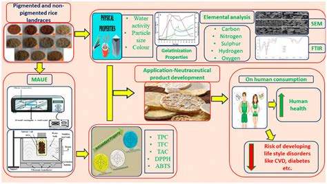 Microwave‐assisted Ultrasonication Extraction Of Phytochemical Antioxidant And Techno