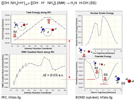 How May It Be Possible To Describe A Protonation Process Via An Irc